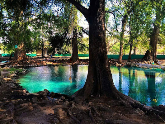 Balneario Natural Los Ahuehuetes