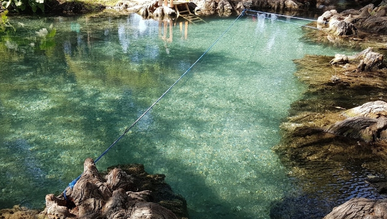 Balneario Natural Los Ahuehuetes